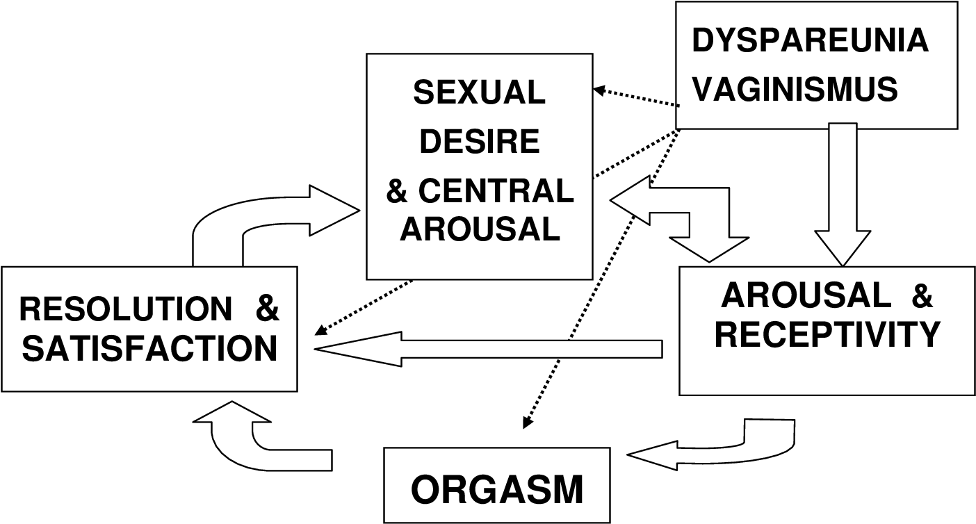 Pdf Sexual Pain Disorders Dyspareunia And Vaginismus Semantic Scholar