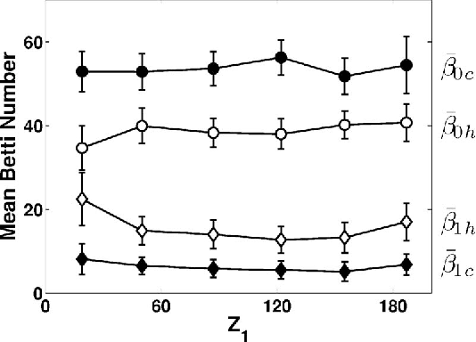 Figure 2 From Homology And Symmetry Breaking In Rayleigh Bénard