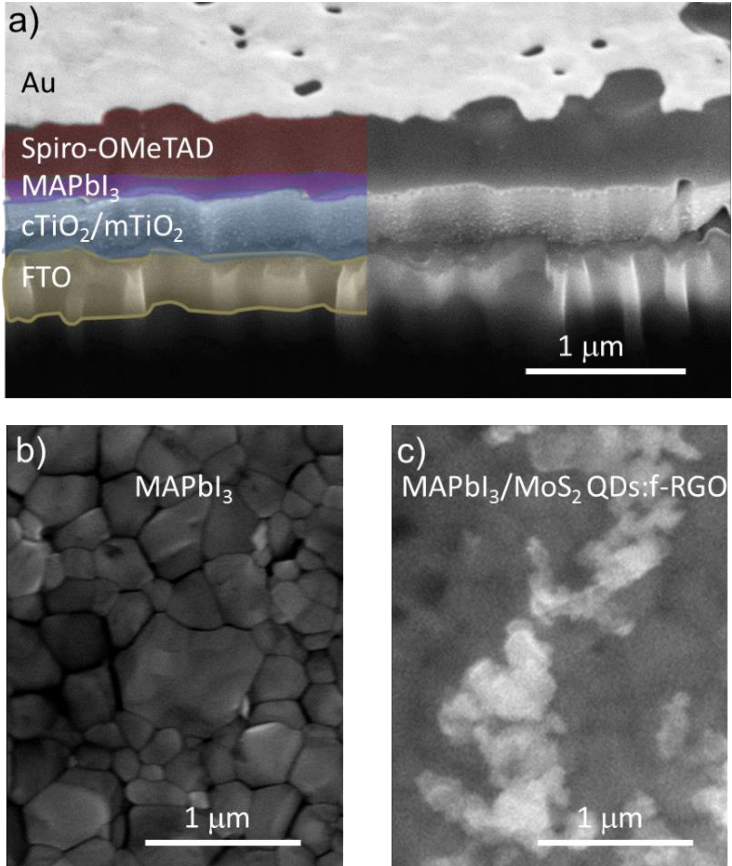 Pdf Mos2 Quantum Dotgraphene Hybrids For Advanced Interface