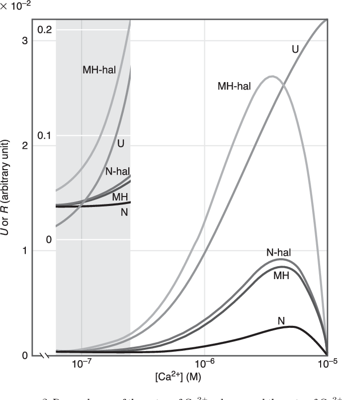 Figure 1 From Calcium Induced Calcium Release In Skeletal Muscle