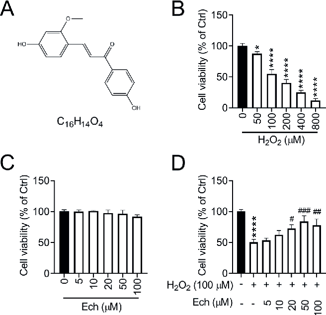 Figure 3 From Echinatin Mitigates H2o2 Induced Oxidative Damage And