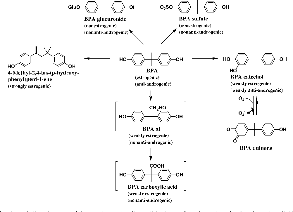 Pdf Comparative Study Of The Endocrine Disrupting Activity Of