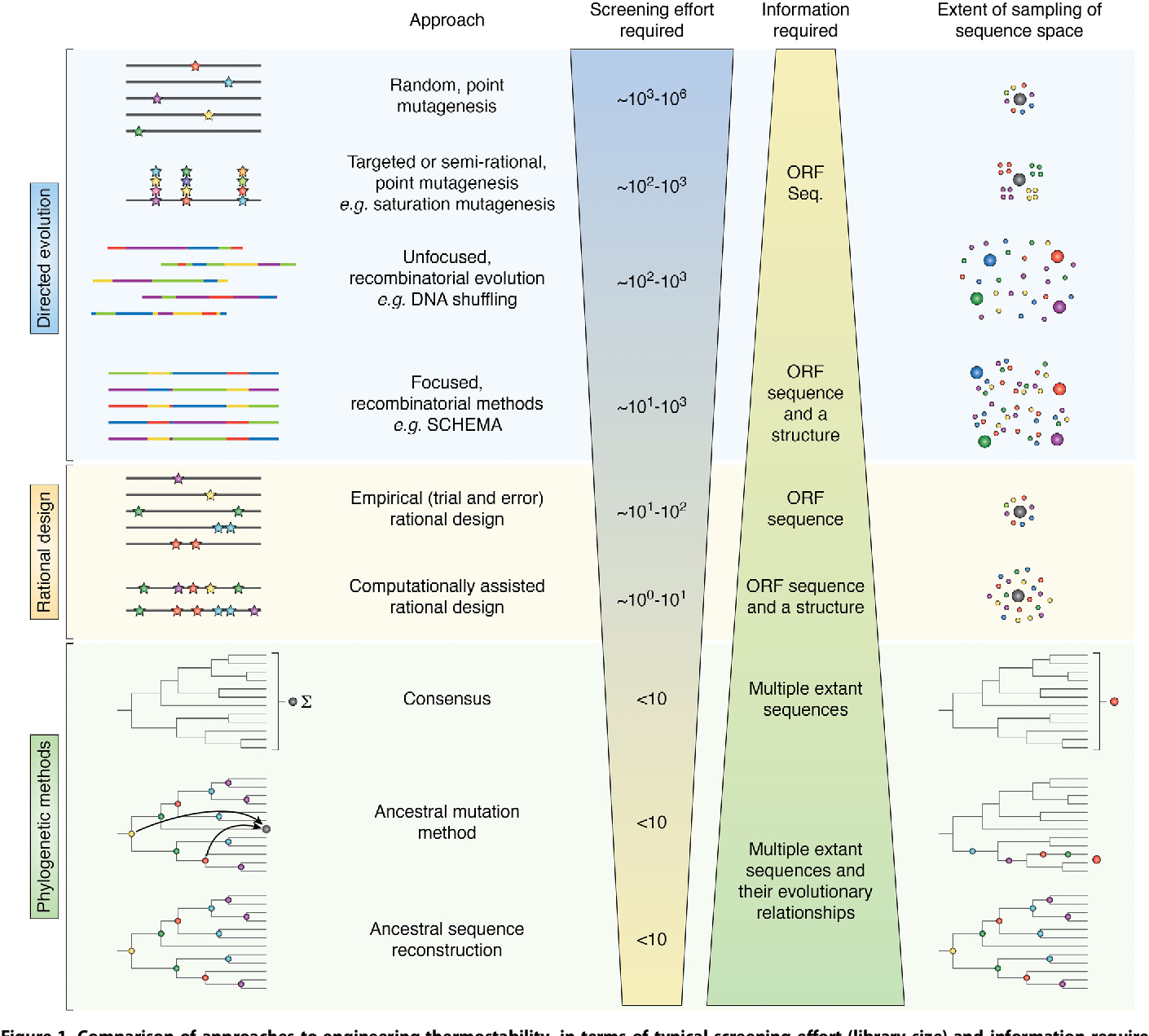 Figure 1 From Engineering Functional Thermostable Proteins Using