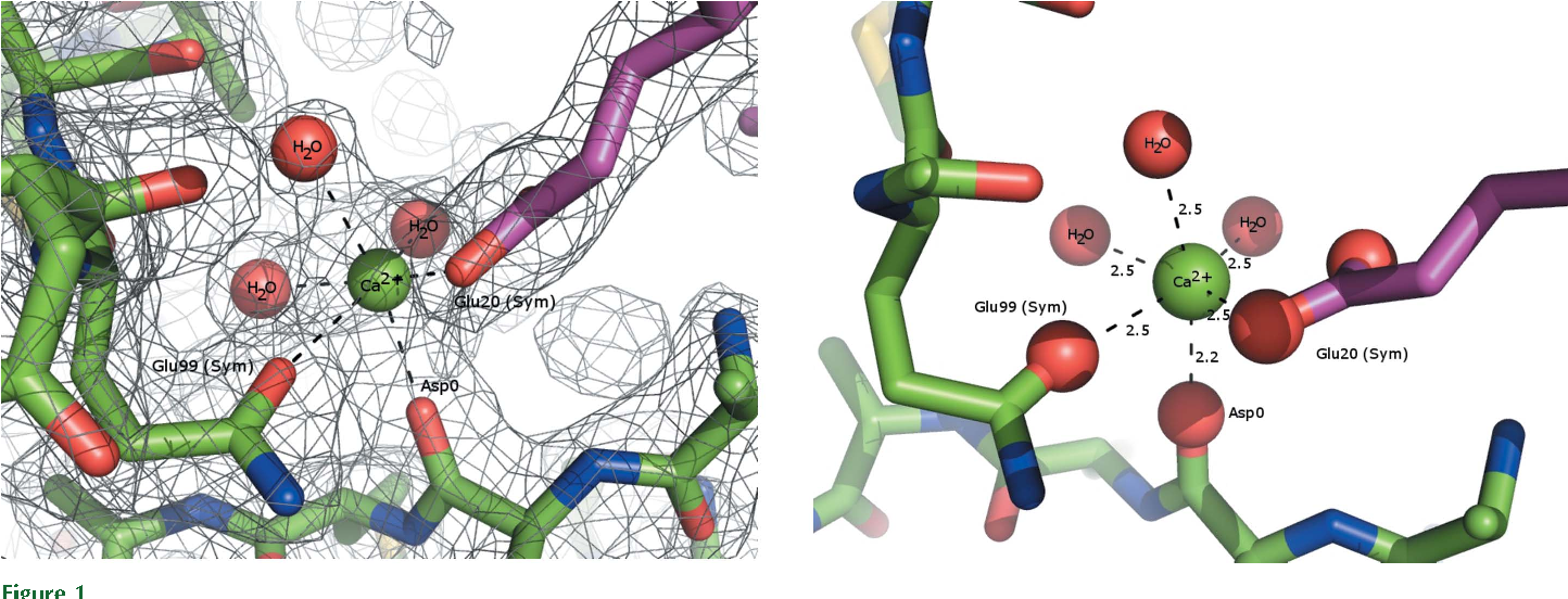 Table 1 From Structure Of Full Length Ubiquitin Conjugating Enzyme E2