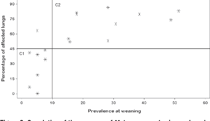 Figure 2 From Effect Of Mycoplasma Hyopneumoniae Colonization At