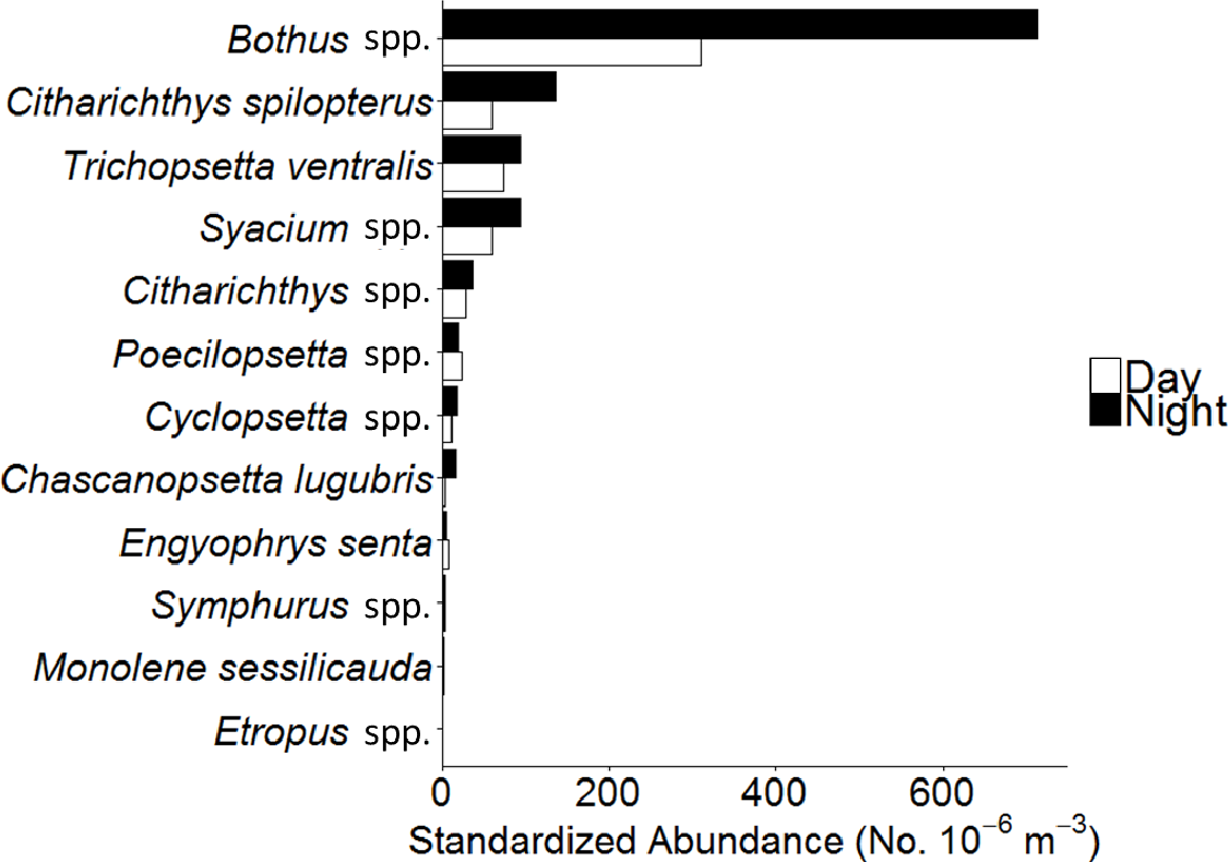 Figure 1 From Faunal Composition And Distribution Of Pelagic Larval And