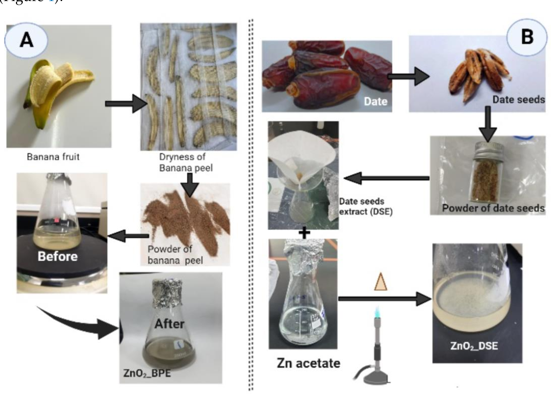 Pdf Sustainable Eco Friendly Synthesis Of Zinc Oxide Nanoparticles