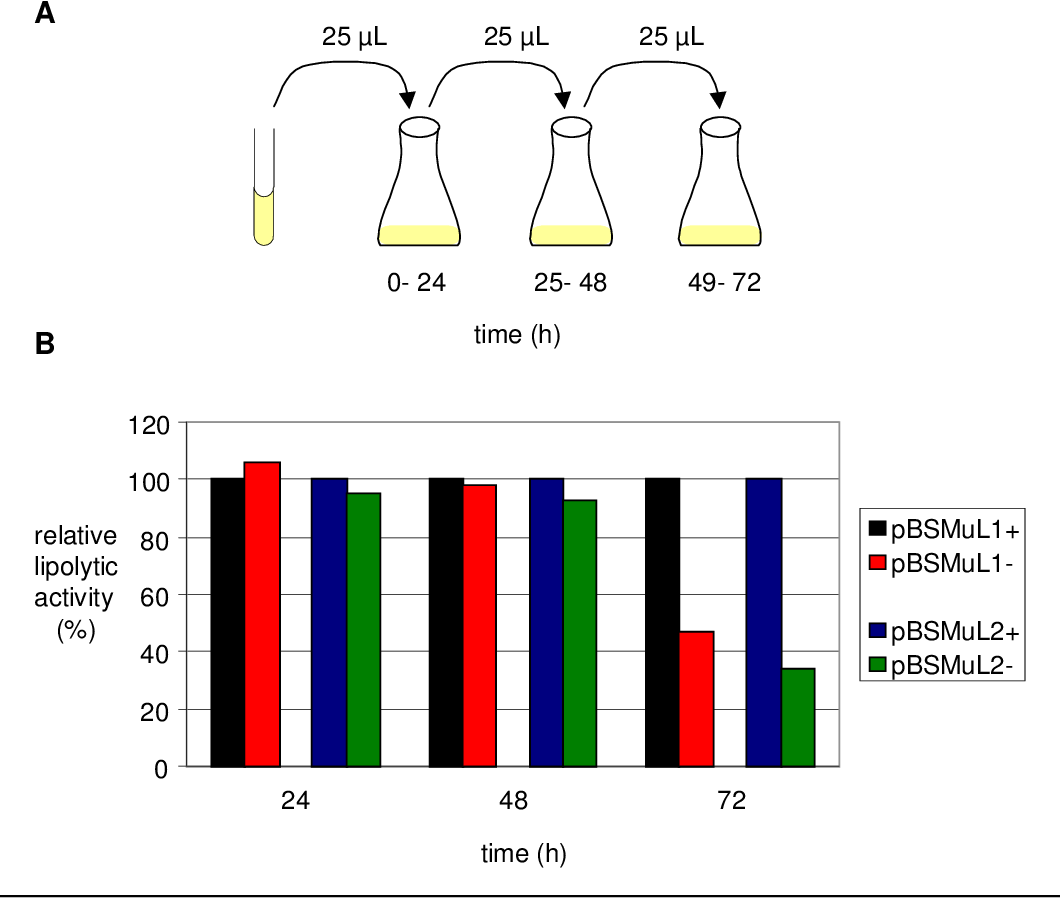 Figure 1 From New Strategies To Optimize The Secretion Capacity For