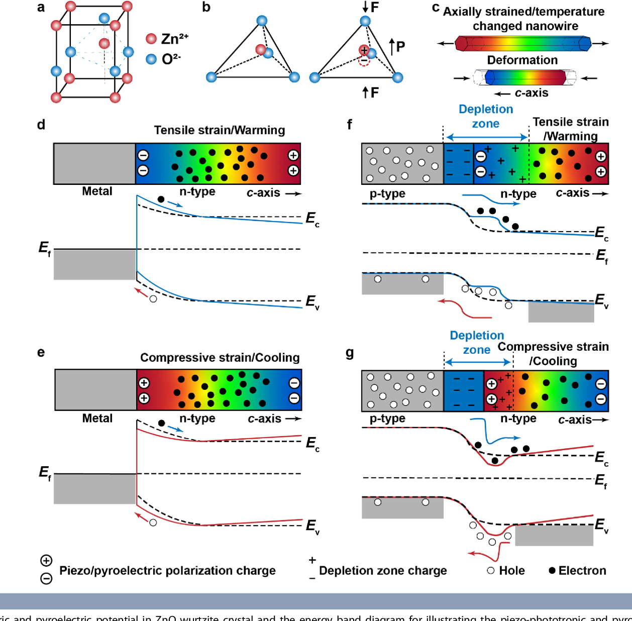 Pdf Piezo Phototronic And Pyro Phototronic Effects Enhanced Broadband