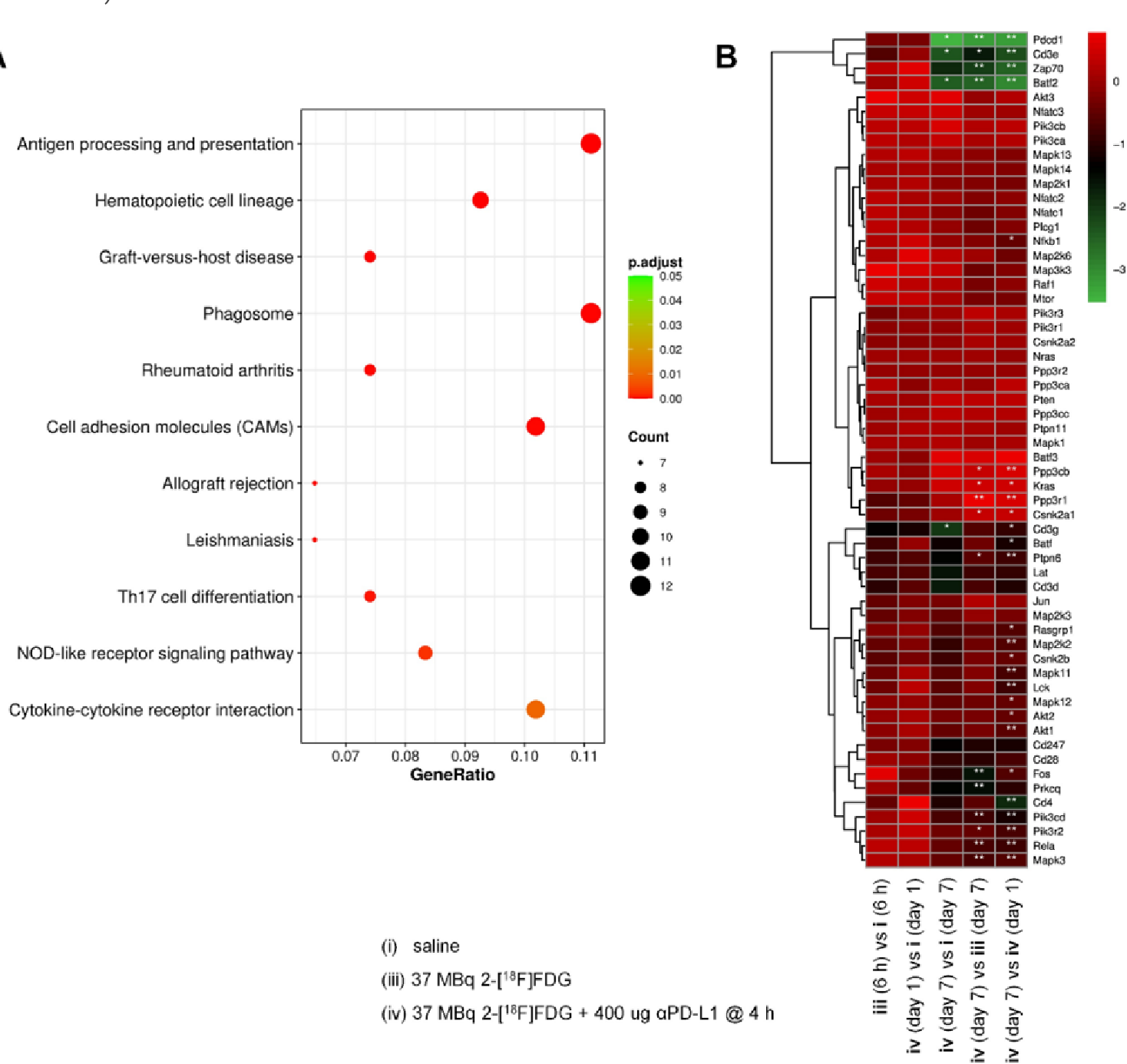 Figure 1 From A Paradigm Shift Of Pd L1 Immunotherapy Based On A