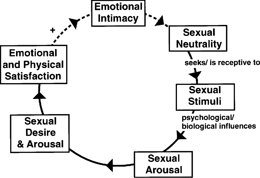 Figure 4 From Womens Sexual Desire Disordered Or Misunderstood