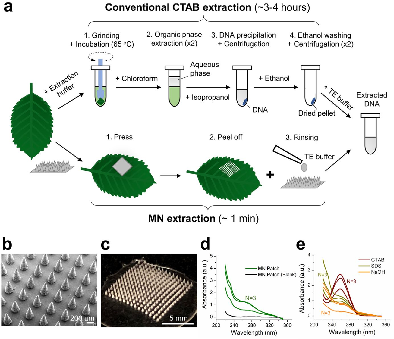 Figure 1 From Extraction Of Plant Dna By Microneedle Patch For Rapid