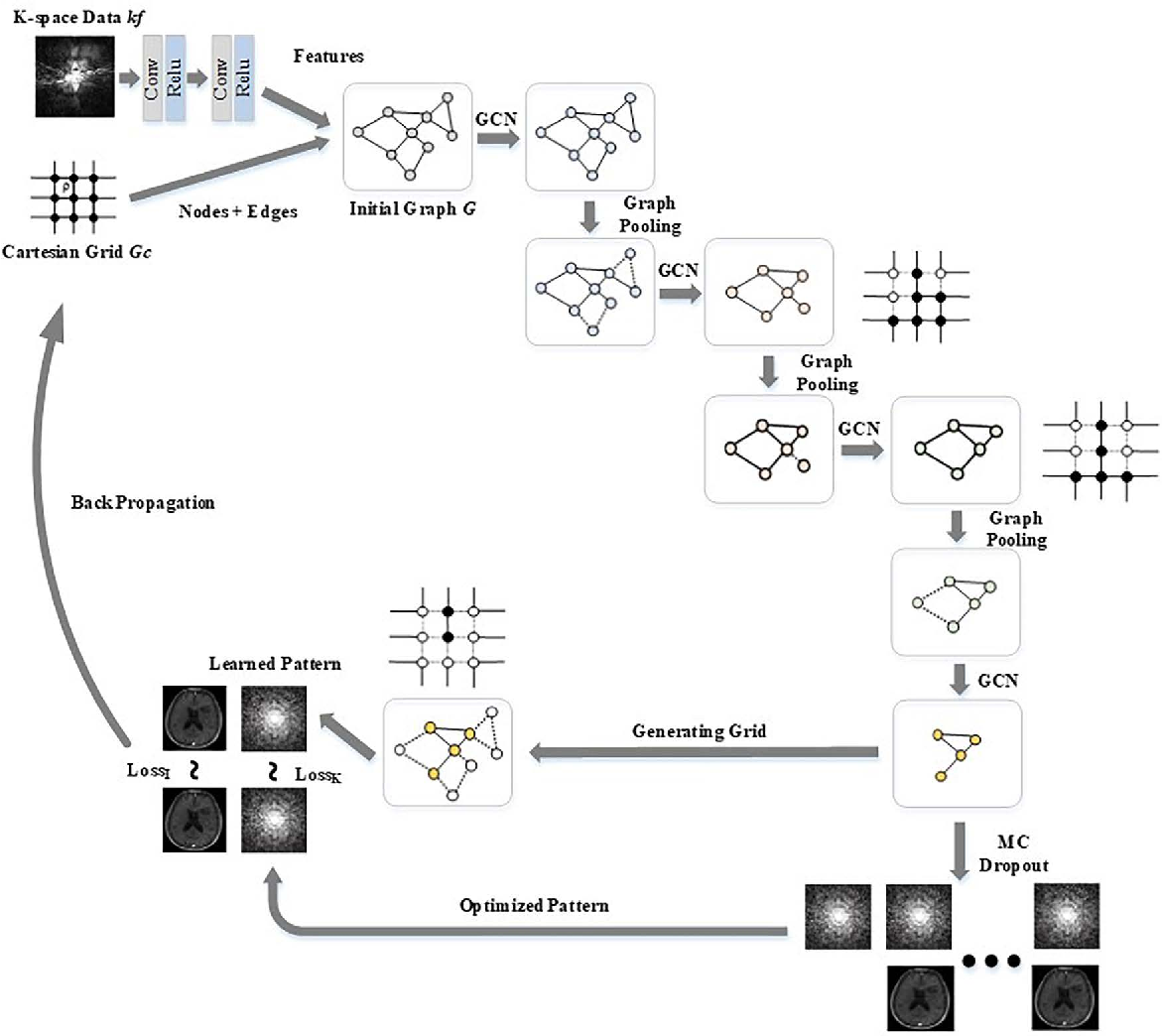 Pdf A Self Supervised Learning Framework For Under Sampling Pattern