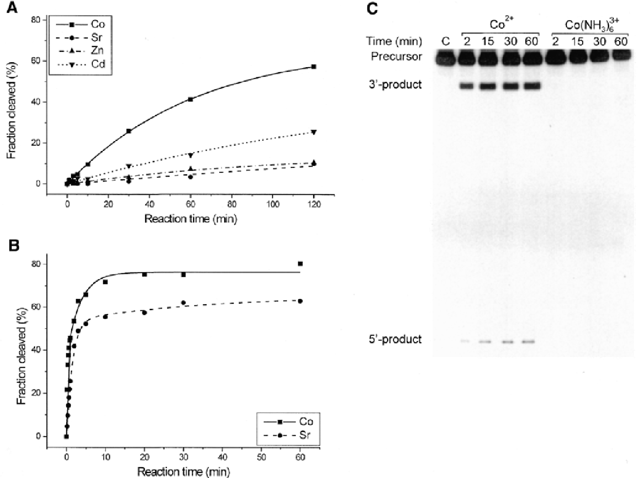 Figure 1 From Catalytic Cleavage Of Cis And Trans Acting Antigenomic