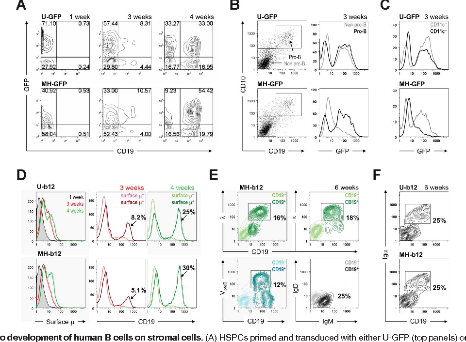 Figure 2 From Engineering Human Hematopoietic Stemprogenitor Cells To