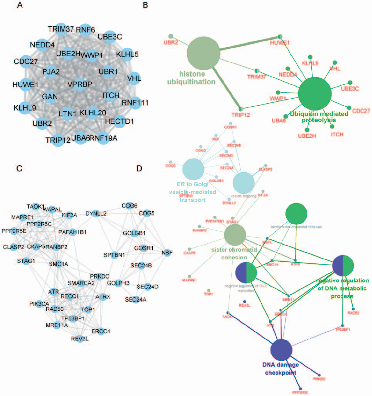 Pdf Long Non Coding Rna Small Nucleolar Rna Host Gene 7 Is