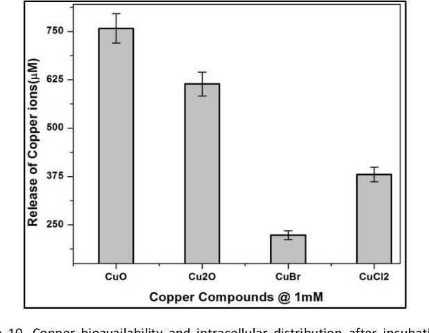 Figure 1 From Understanding The Pathway Of Antibacterial Activity Of