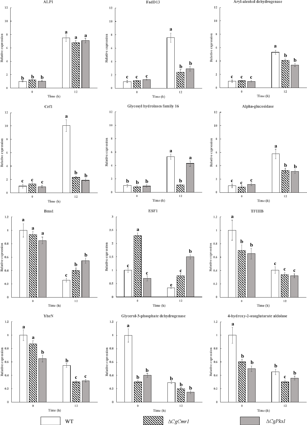 Figure 1 From Comparative Transcriptome Analysis Reveals The Effect Of