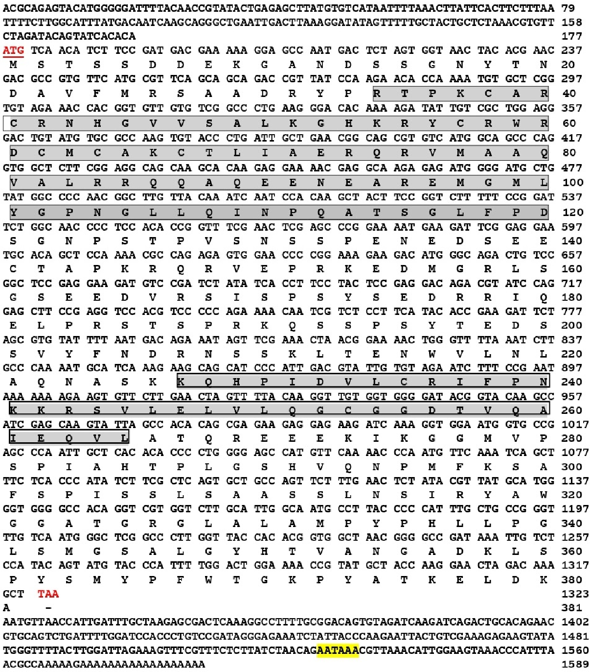 Pdf A Testis Specific Dmrt1 Double Sex And Mab 3 Related