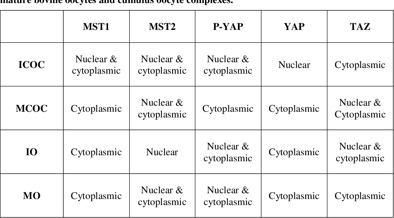 Figure 1 From Role Of Hippo Signaling Pathway During Bovine Oocyte