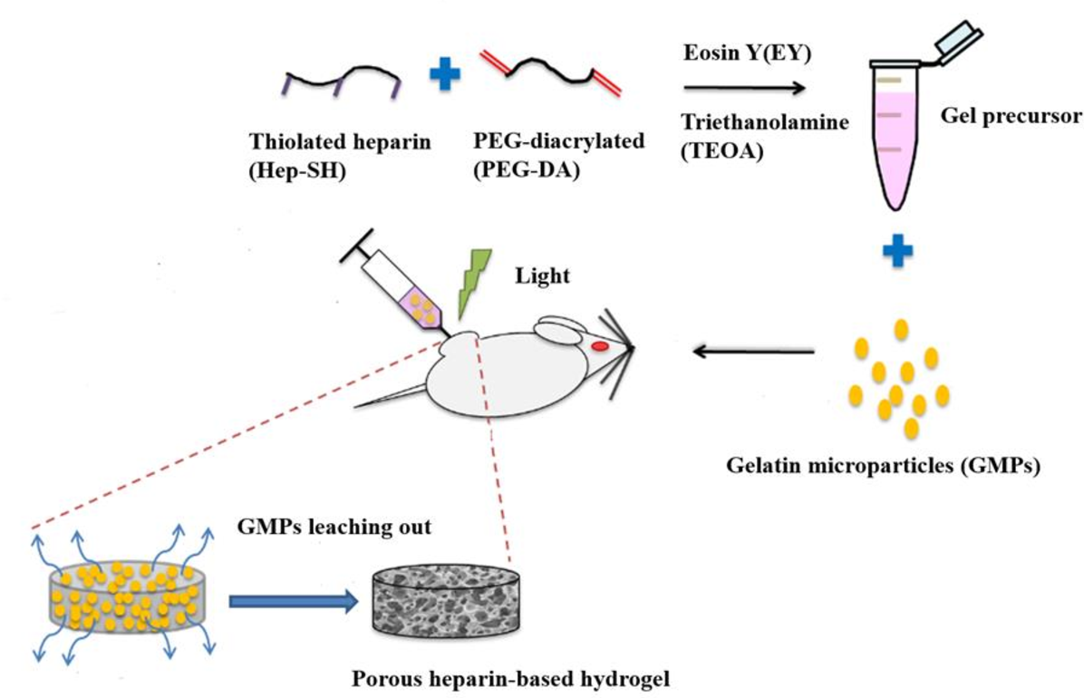 Figure 1 From In Situ Formation Of Injectable And Porous Heparin Based