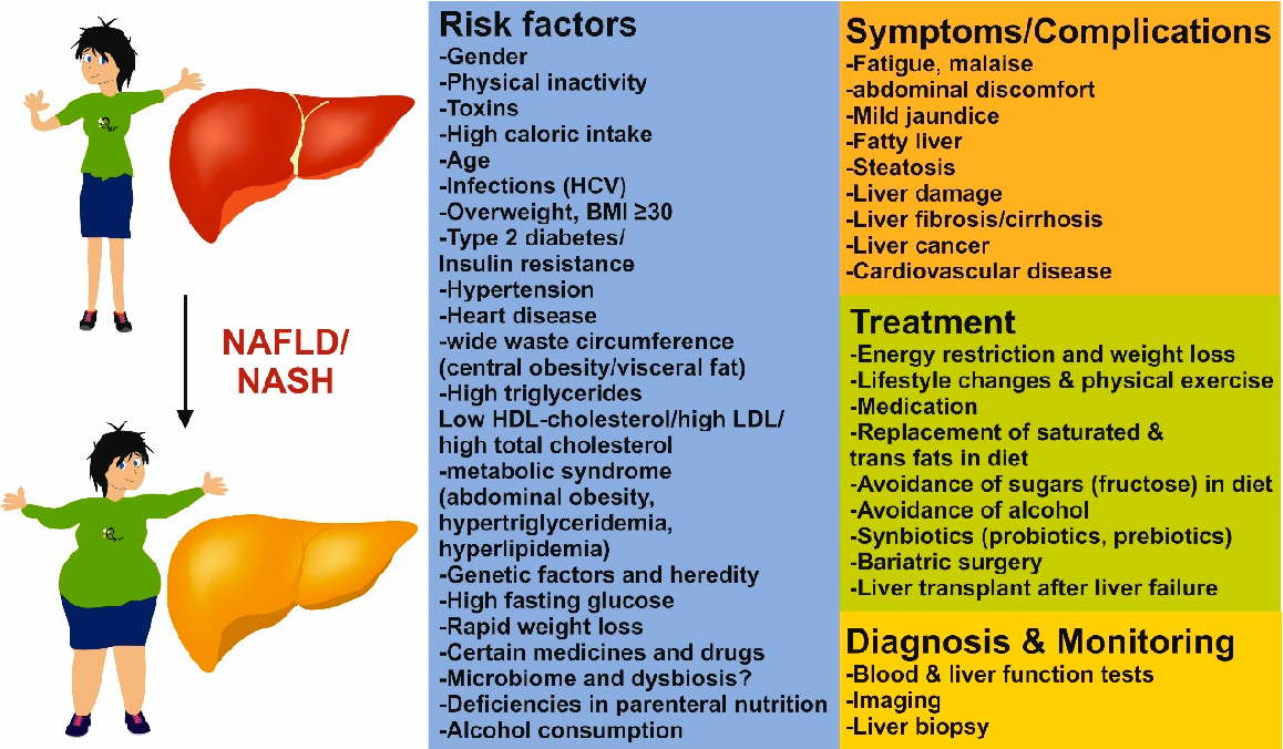 Pdf Current Status In Testing For Nonalcoholic Fatty Liver Disease