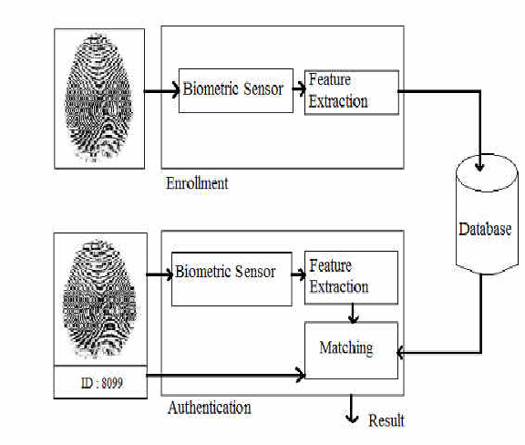 Pdf Analysis Of Algorithms Used In Biometric Using Fingerprint