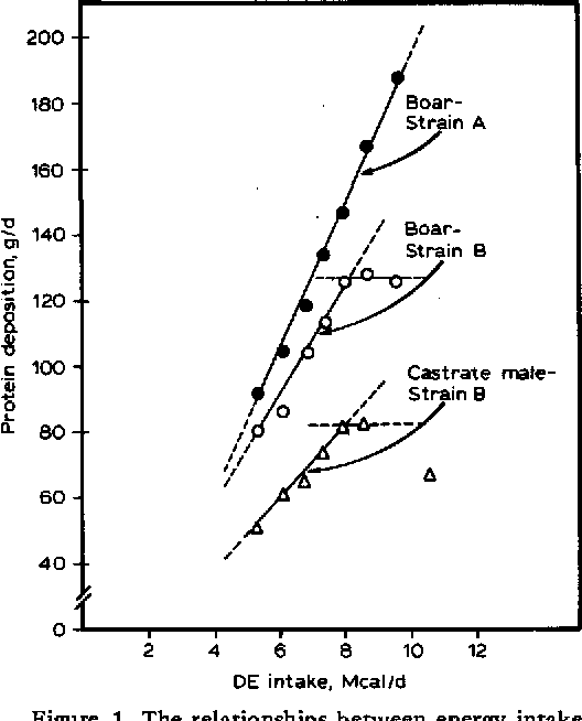 Figure 1 From Genotype And Sex Effects On The Relationship Between