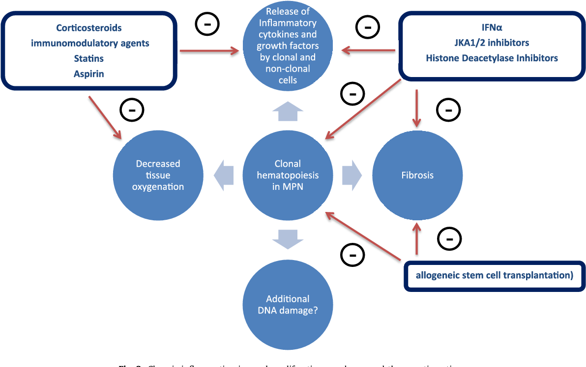 Inflammation And Myeloproliferative Neoplasms Semantic Scholar