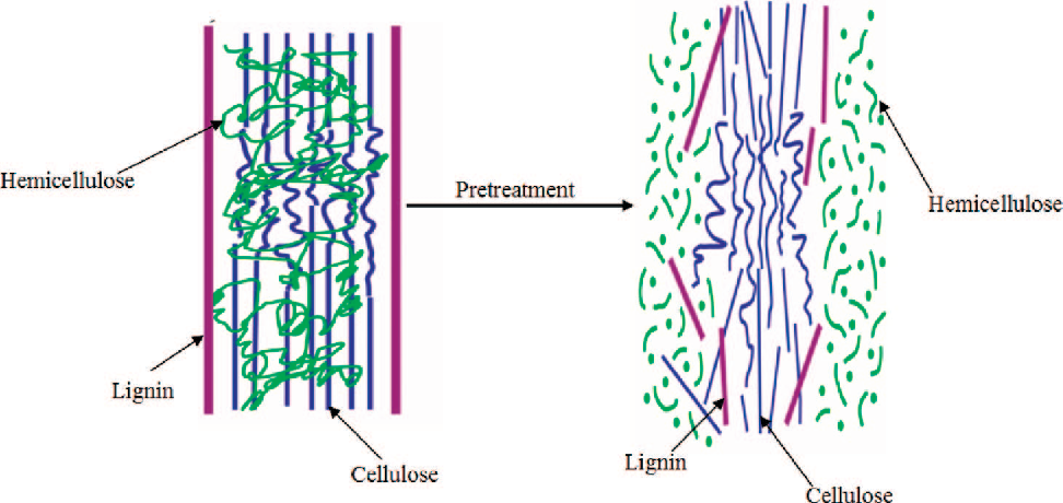 Pdf Methods For Pretreatment Of Lignocellulosic Biomass For Efficient