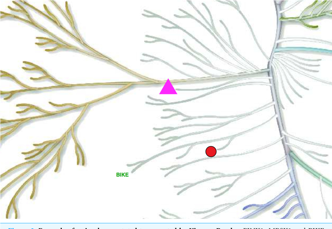 Table 2 From Kinome Render A Stand Alone And Web Accessible Tool To