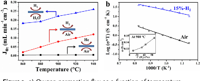 Figure 3 From Hydrogen Purification Through A Highly Stable Dual‐phase