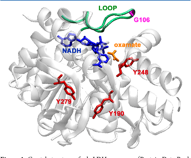 Figure 1 From Large Scale Dynamics Of The Michaelis Complex In Bacillus