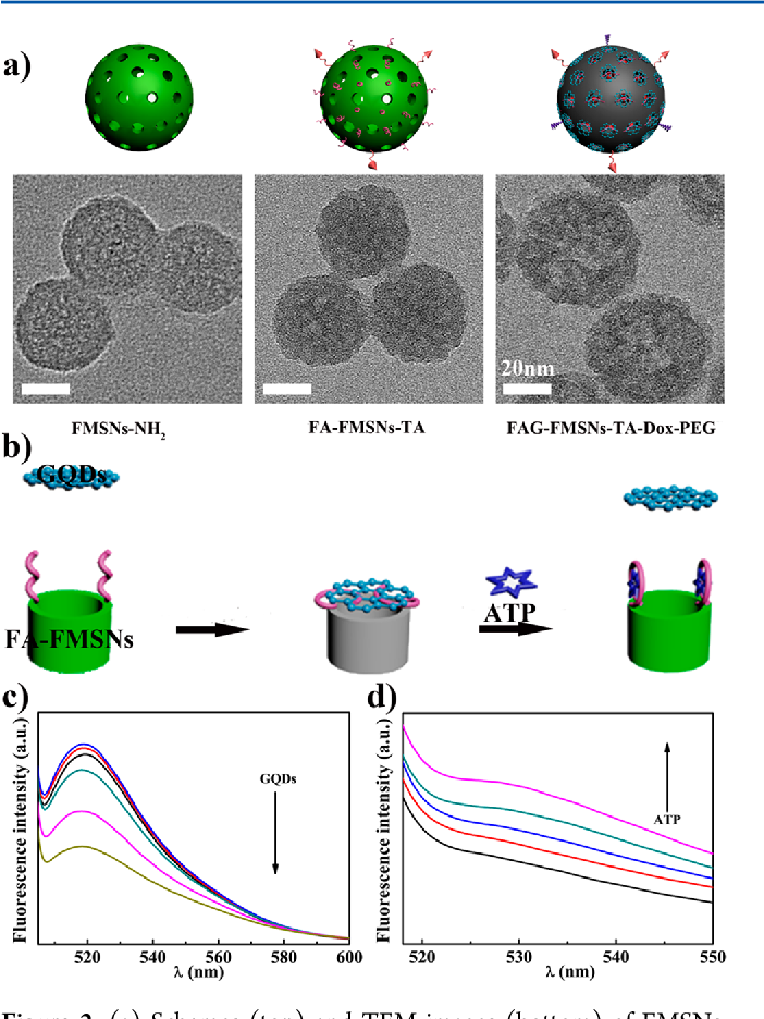 Figure 2 From Aptamergraphene Quantum Dots Nanocomposite Capped