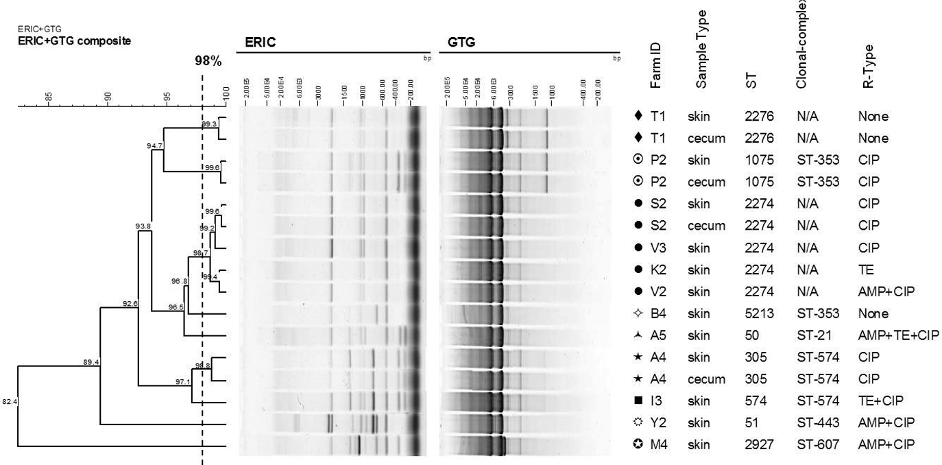 Figure 2 From Comparison Of Multilocus Sequence Typing Mlst And