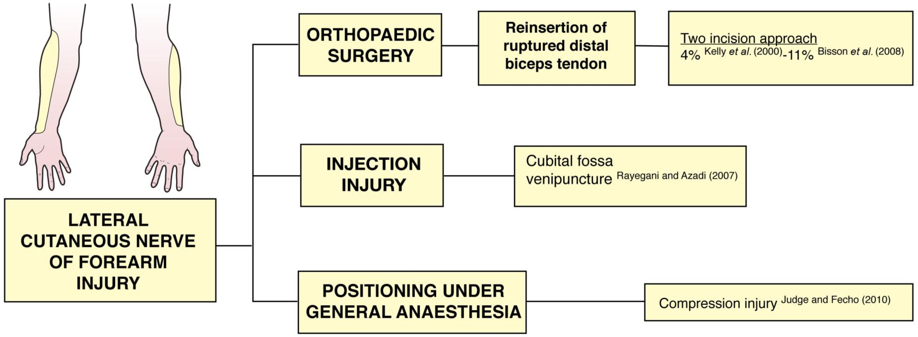 Table 21 From Iatrogenic Upper Limb Nerve Injuries Semantic Scholar