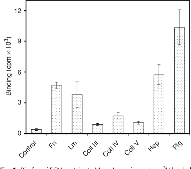 Figure 1 From Binding Of Host Extracellular Matrix Proteins To