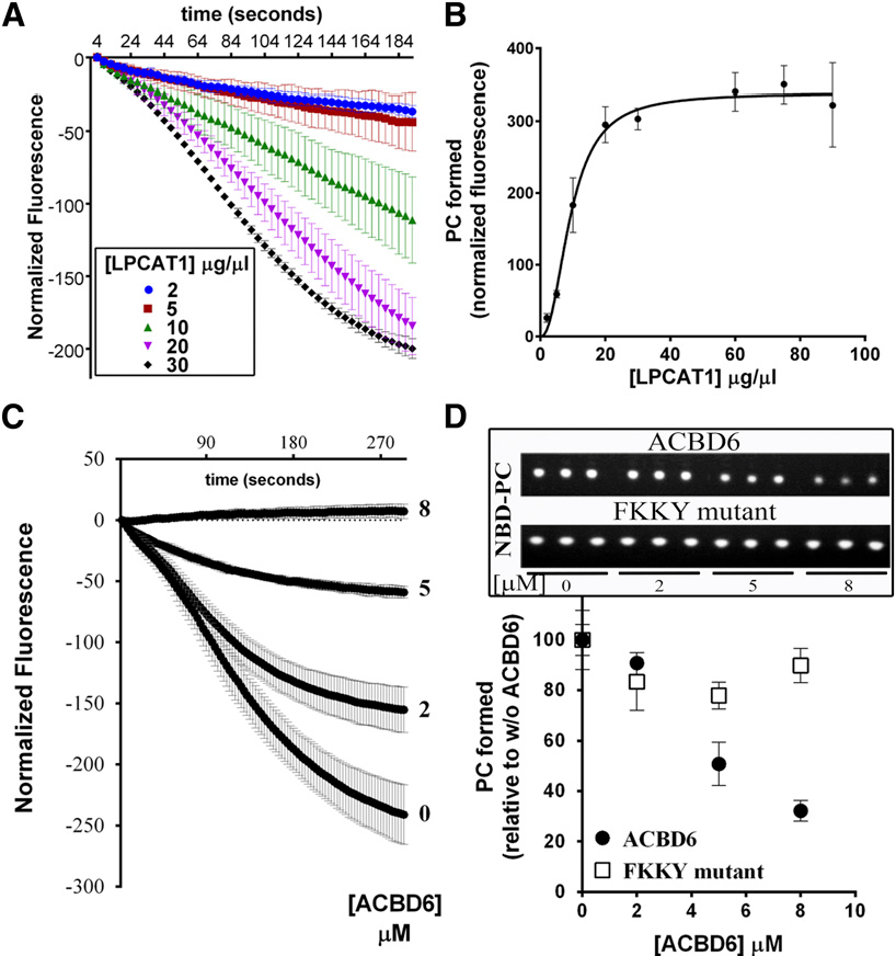 Figure 1 From Ligand Binding To The Acbd6 Protein Regulates The Acyl