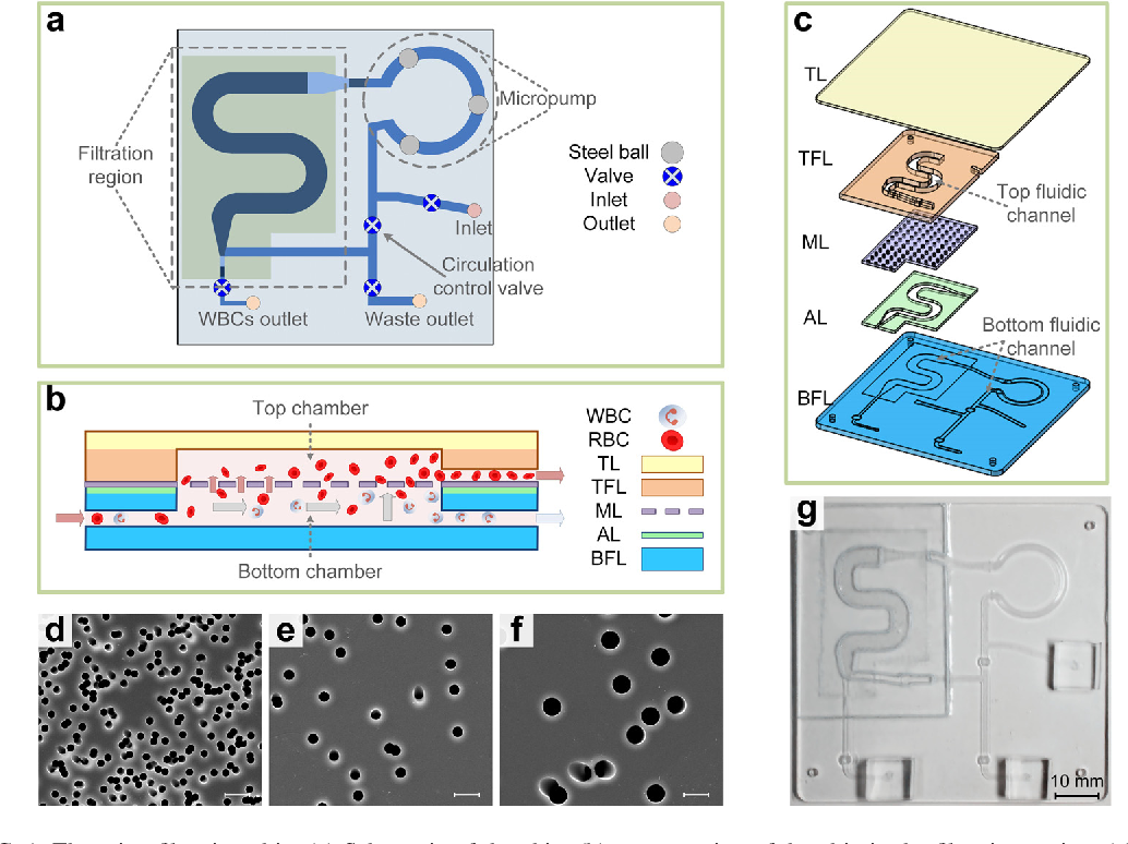 Figure 3 From High Throughput And Clogging Free Microfluidic Filtration