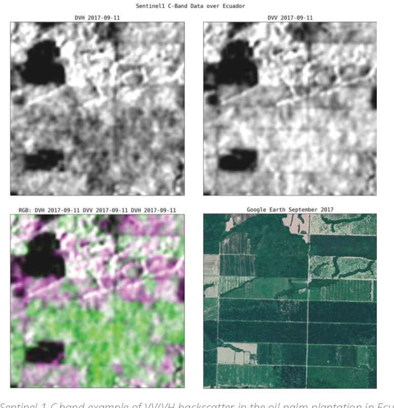 Pdf Chapter 3 Using Sar Data For Mapping Deforestation And Forest