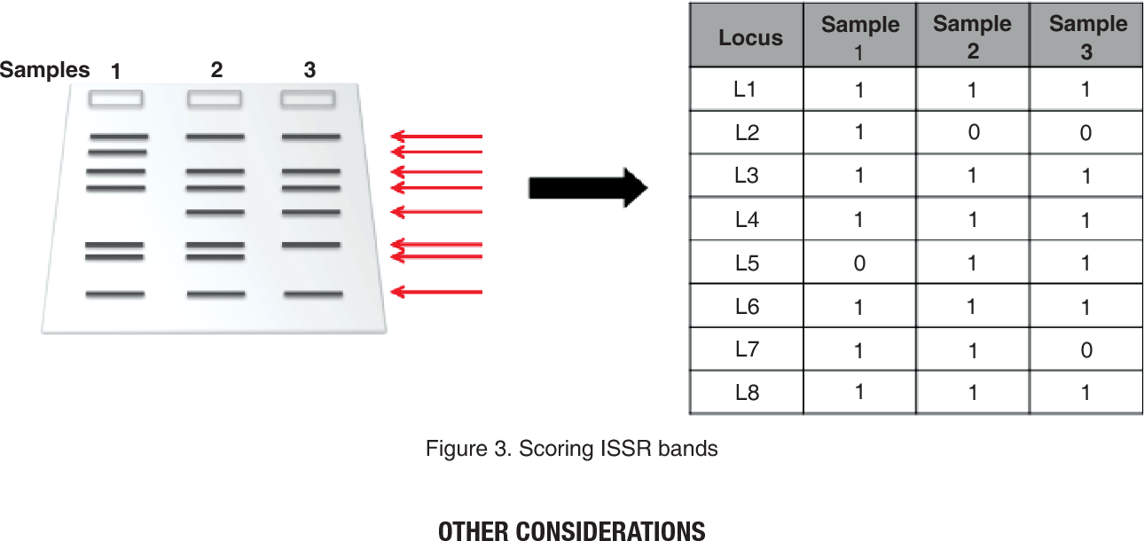 Pdf Inter Simple Sequence Repeat Issr Markers Are We Doing It