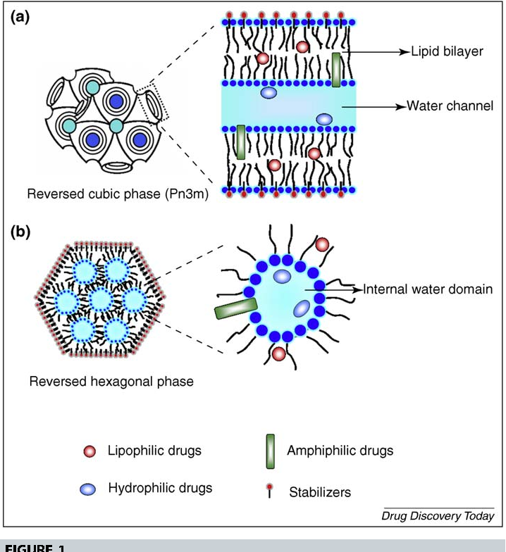 Lyotropic Liquid Crystal Systems In Drug Delivery Semantic Scholar