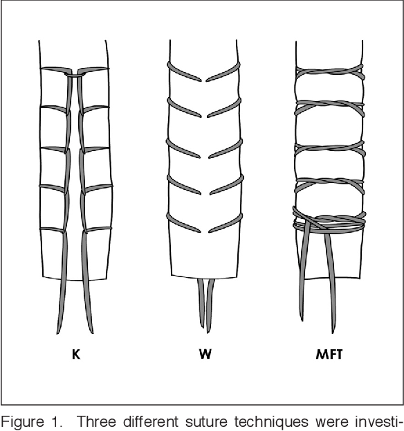 Pdf Surgical Time For Graft Preparation Using Different Suture