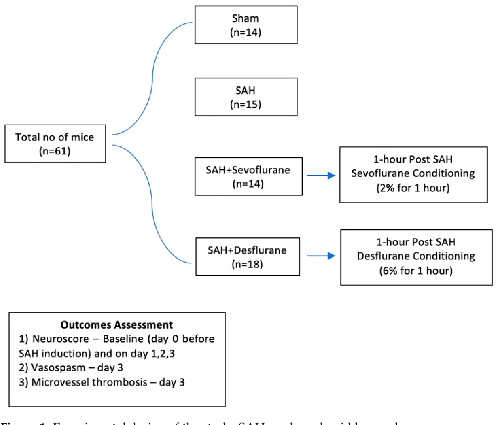 Figure 1 From Sevoflurane And Desflurane Exposures Following Aneurysmal