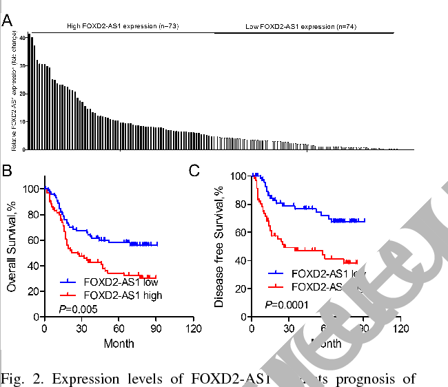 Figure 1 From Upregulation Of The Long Noncoding Rna Foxd2 As1 Predicts