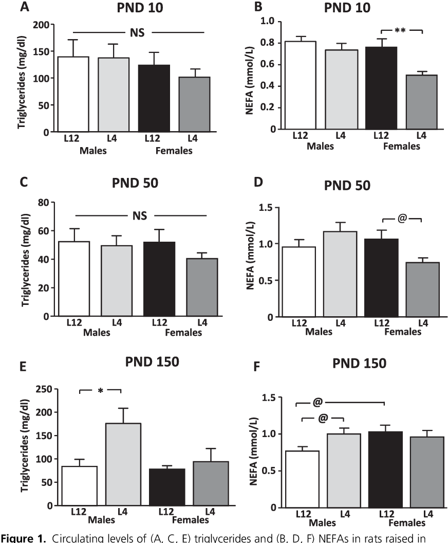 Figure 7 From The Hypothalamic Inflammatorygliosis Response To