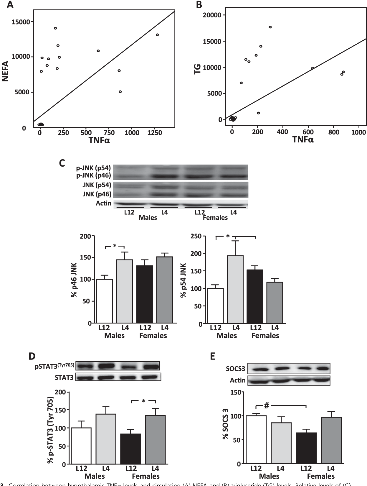 Figure 7 From The Hypothalamic Inflammatorygliosis Response To