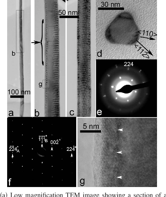 Figure 2 From Polarity Driven Formation Of Inasgaas Hierarchical