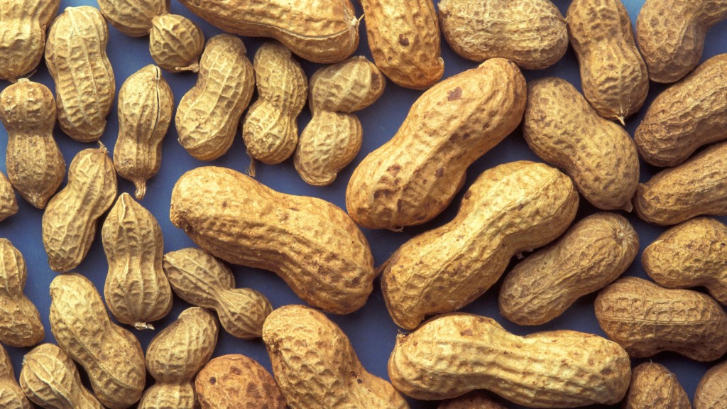 Feeding Infants Peanuts Could Reverse Dramatic Allergy Rise Study