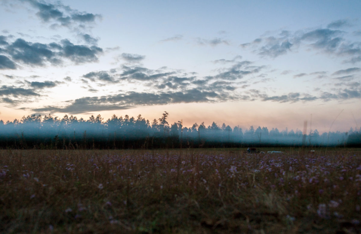 Siberian Heat Wave Alarms Scientists Pbs Newshour